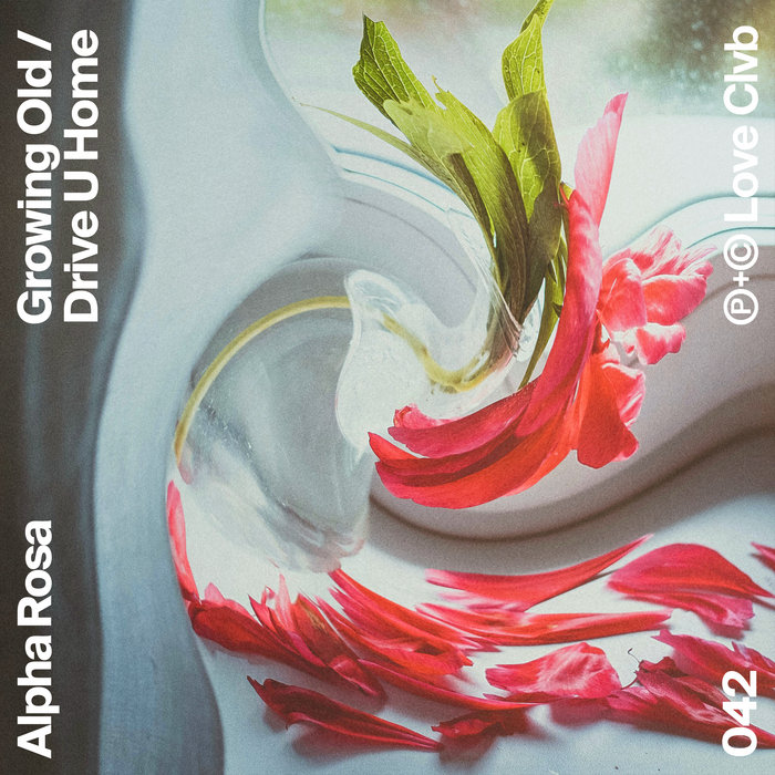 Growing Hot / Drive U Home | Alpha Rosa | LOVE CLVB