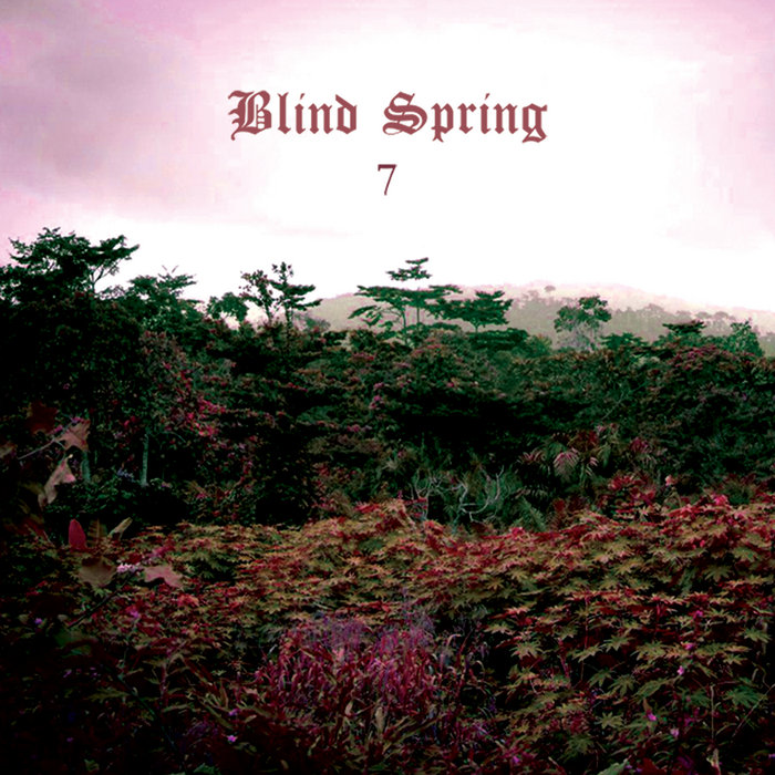 7 | Blind Spring