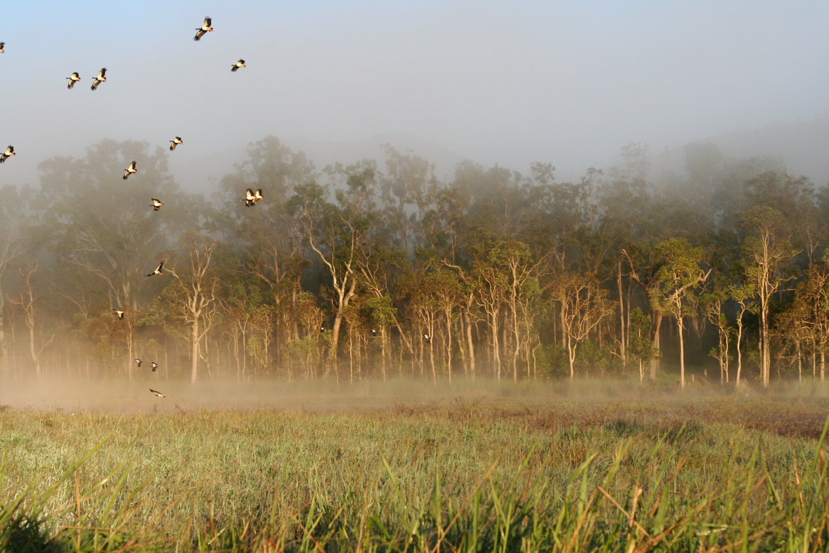 Three Pieces for Solo Flute | David Hush | Akiva Recordings