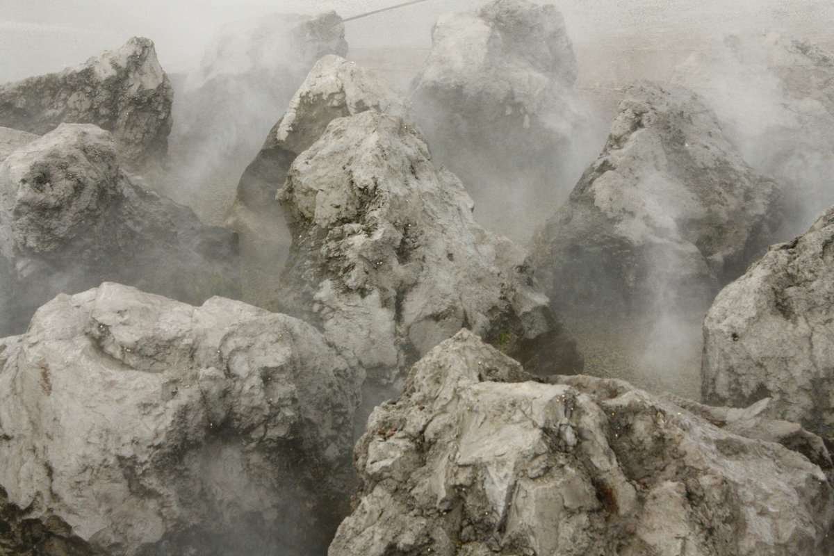 Welcome To The New | Perception