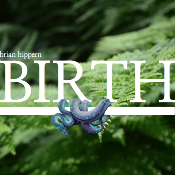 Birth | Brian Hippern