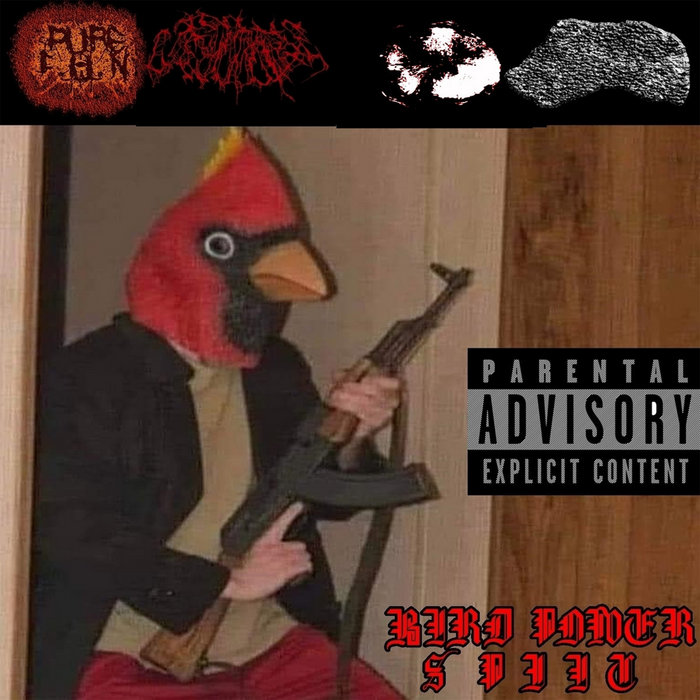 BIRD POWER 4 WAY SPLIT | Septic Abrasions