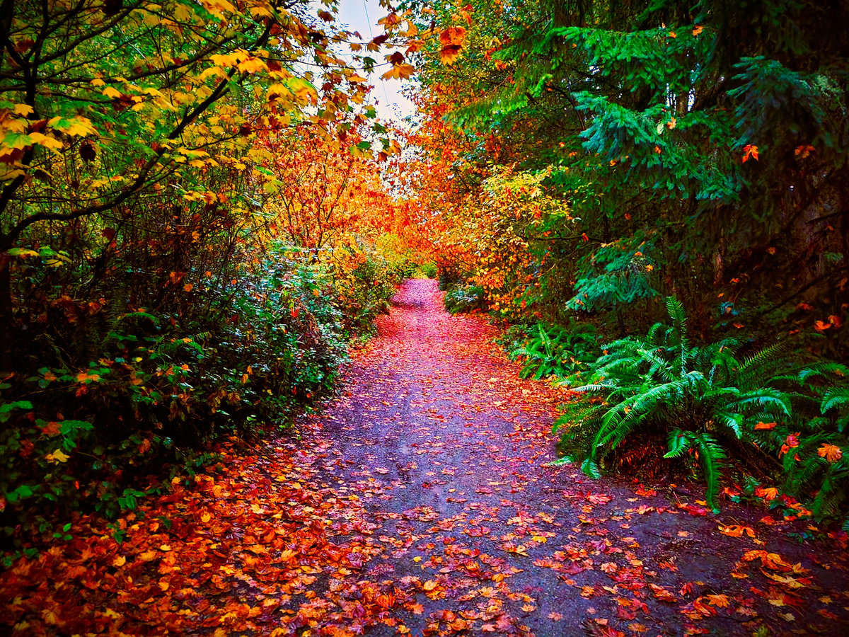 In the Heart of the Wildlands | Jason Hennig