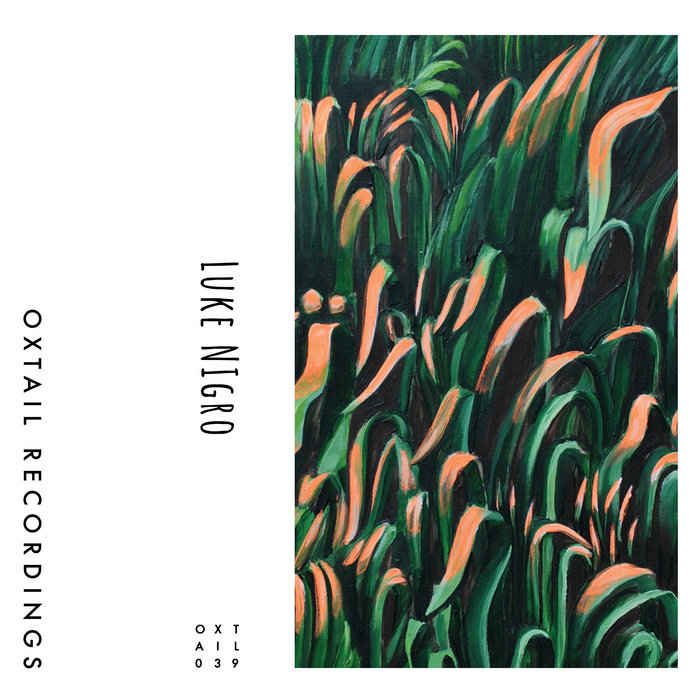 Speaking in Strings | Luke Nigro | Oxtail Recordings