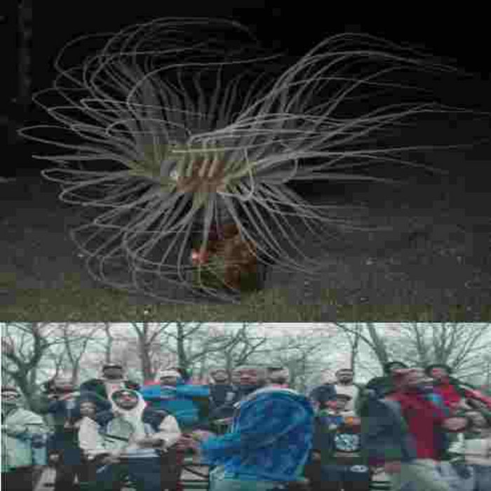 GoldLink - Crew ft. Brent Faiyaz, Shy Glizzy (VOXMX) | Coleoptera ...