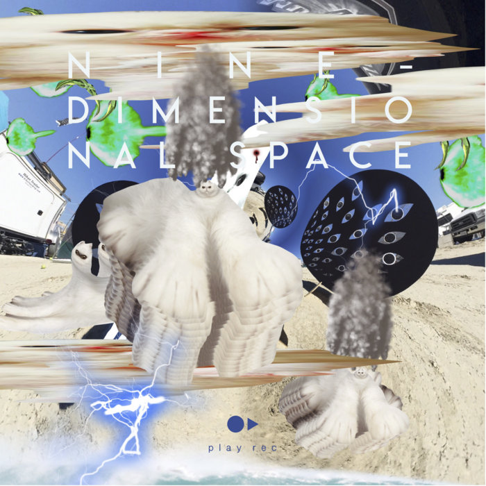 Nine-dimensional space | Various Artists | playreclabel