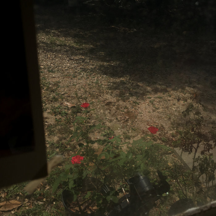 where do i begin | angel complex