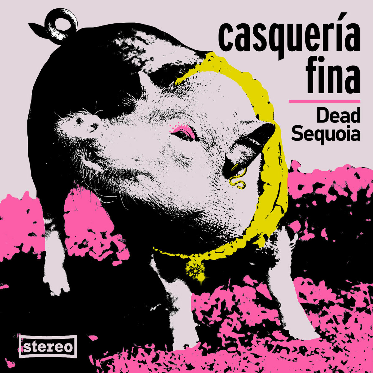 DEAD SEQUOIA "Casqueria Fina" | DEAD SEQUOIA | SWEET GROOVES RECORDS