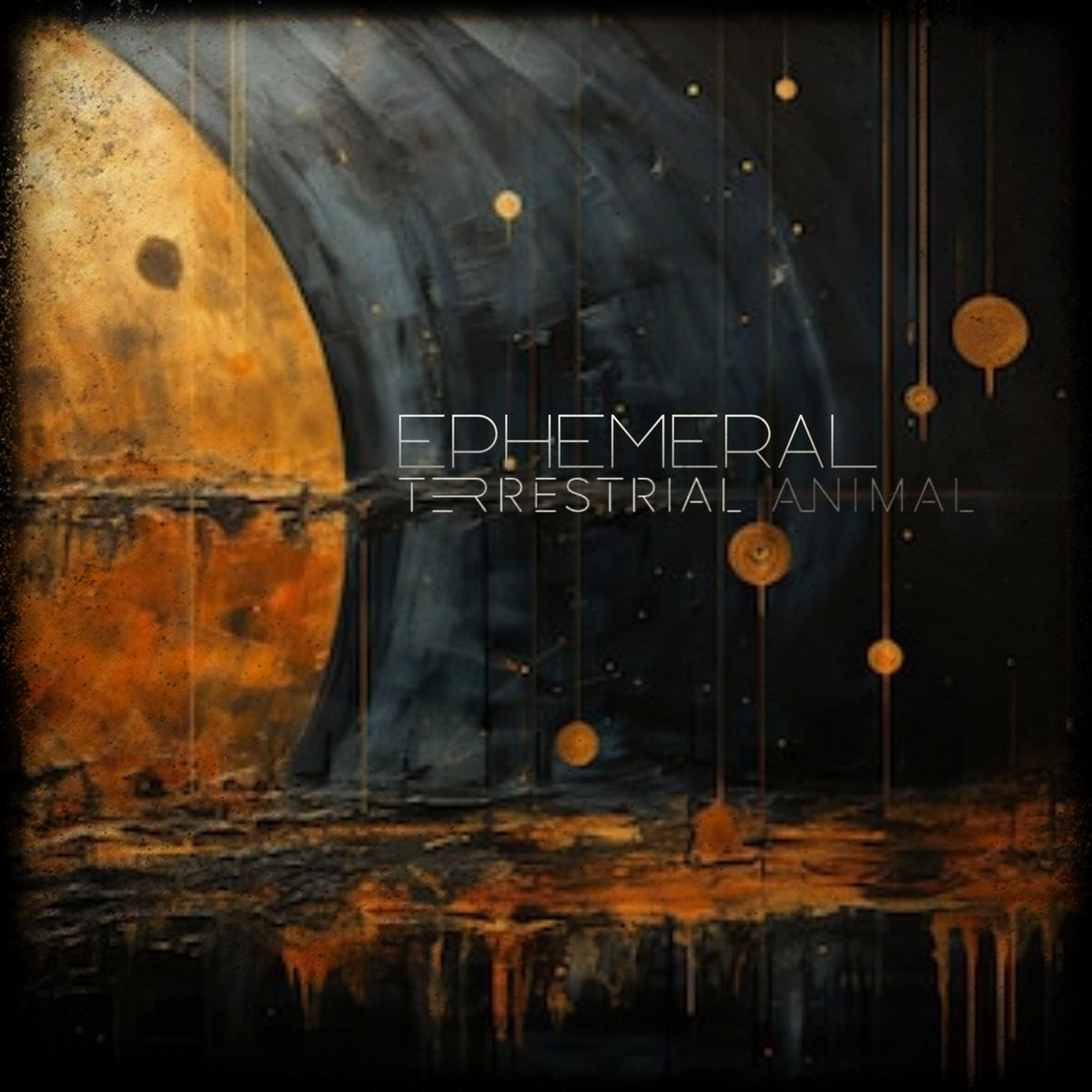 Ephemeral (Live Tapes at Moondog Meadery) | Terrestrial Animal