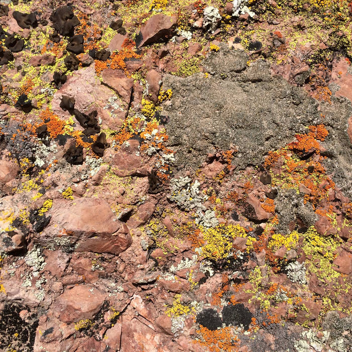 Music | Michelle Moeller