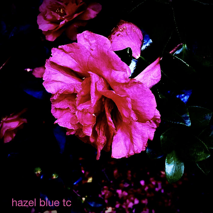 hazel blue tc | hazel blue tc