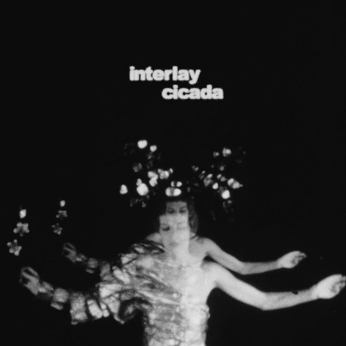 Cicada | Interlay