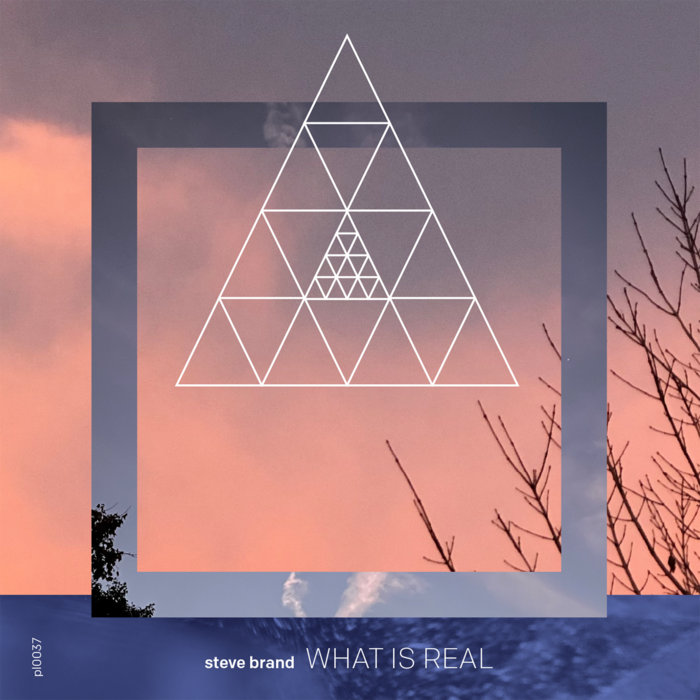 What Is Real | Steve Brand