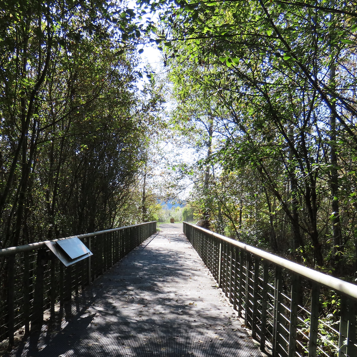 Brightwater Park And North Creek Trail | FKF