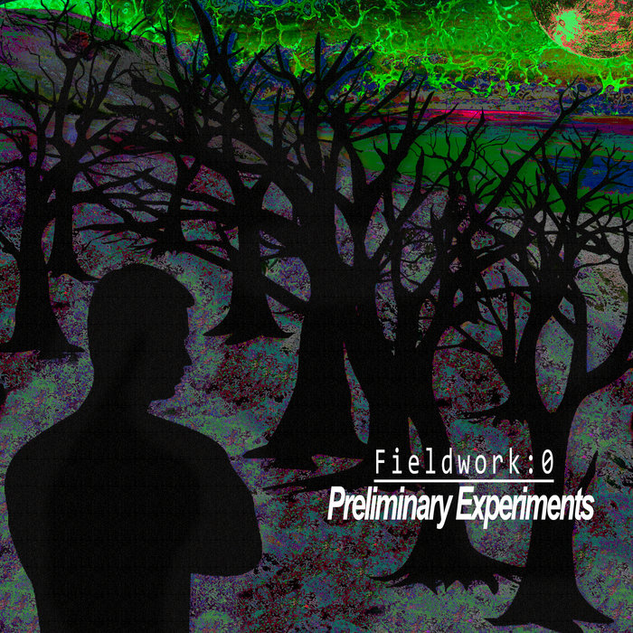 Fieldwork: 0 (Preliminary Experiments) | JR. Hall