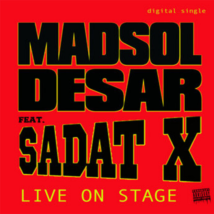 Madsol Desar Ft. Sadat X - Live On Stage | Madsol Desar