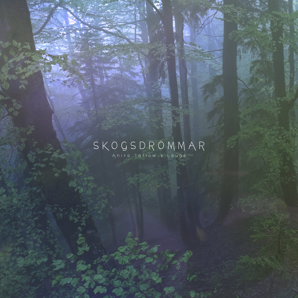 Skogsdrömmar | Anita Tatlow