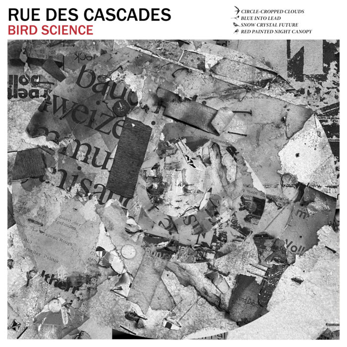 Bird Science | Rue des Cascades