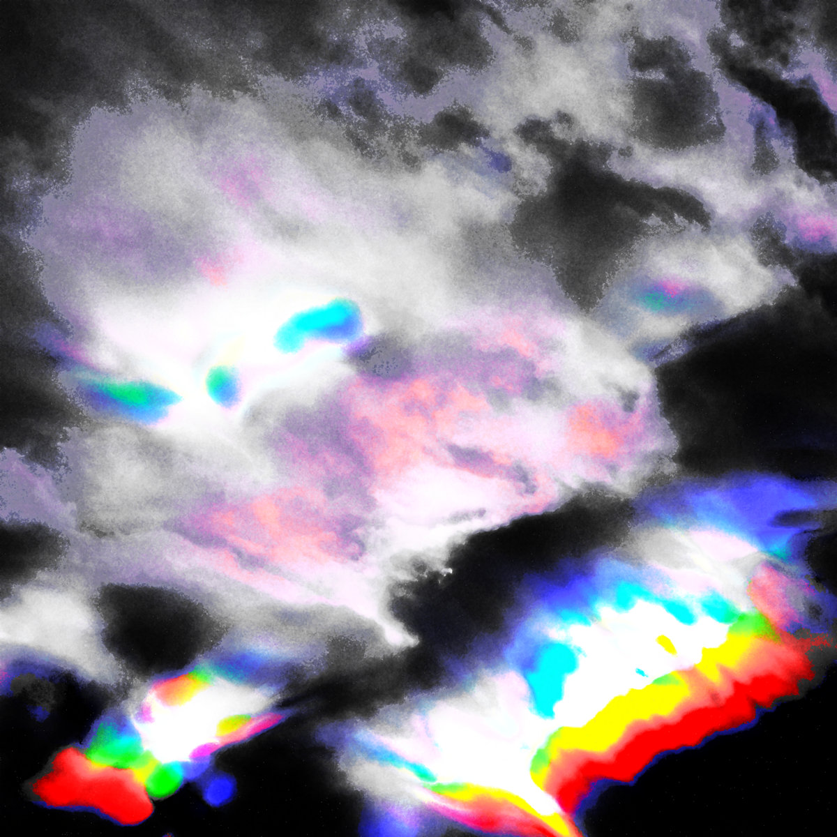 Wander / Forever | TVO