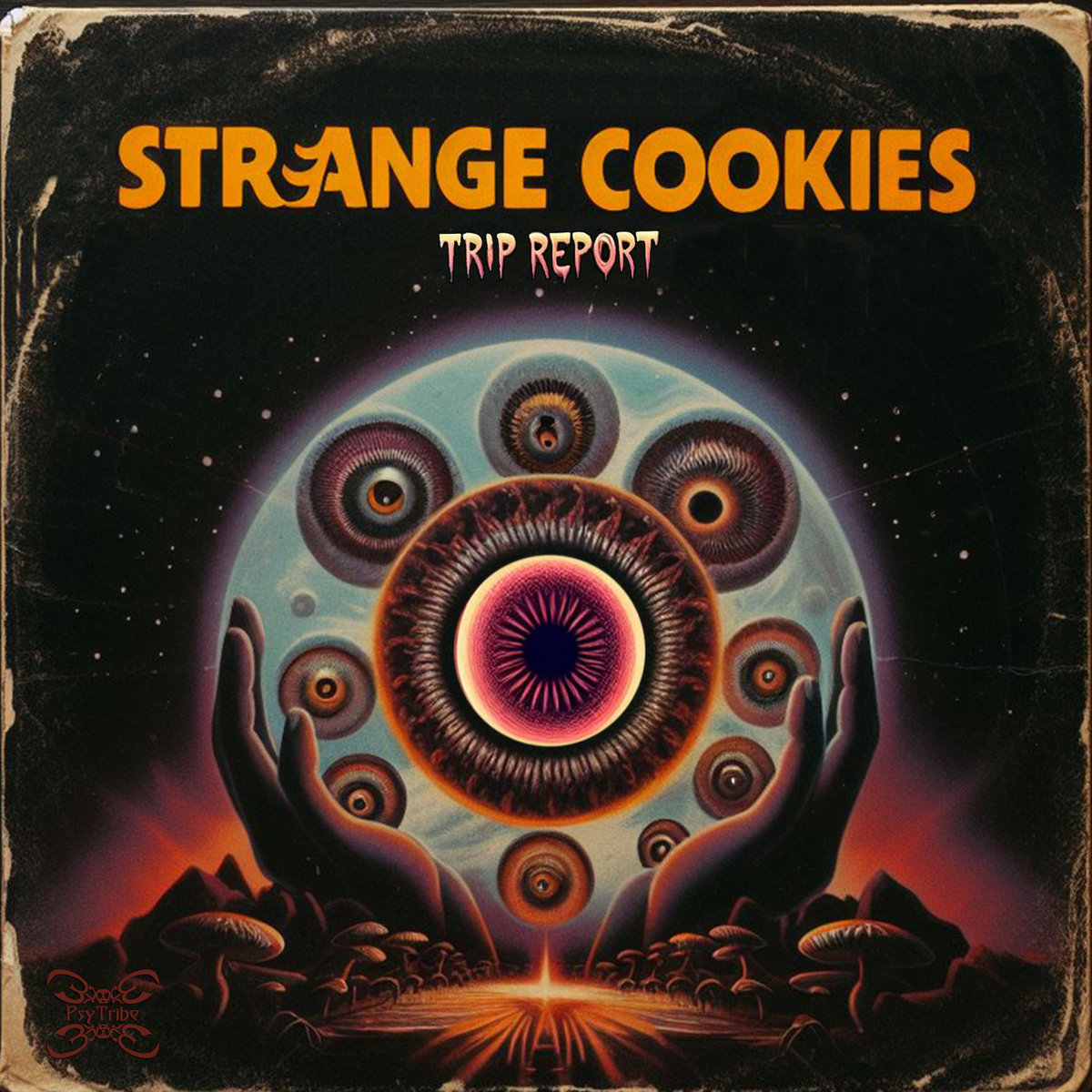 Through The Rearview | Strange Cookies (Psytribe Records) | Psytribe ...