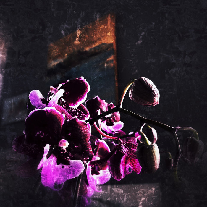 Ballades pour Danielle | Louis Beaudoin-de la Sablonnière