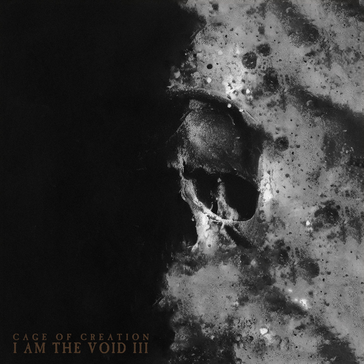 I am the Void III | Cage Of Creation
