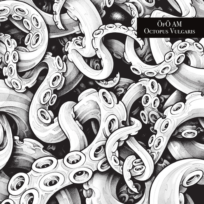 OCTOPUS VULGARIS | ÖfÖ AM | ÖfÖ Am