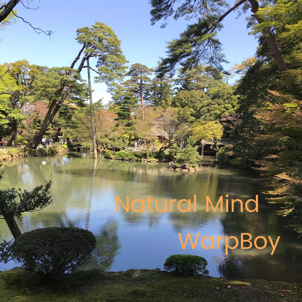 Natural Mind | WarpBoy