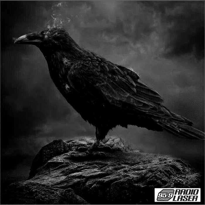 Acoustic Version (Radio Laser) | Crow Magnum