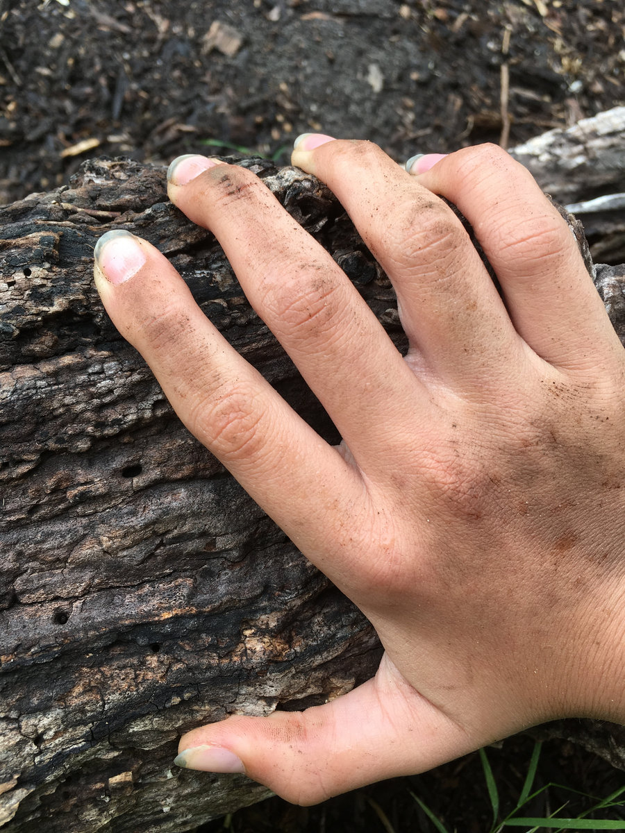 songs for Richard Herr to listen to | matt powell