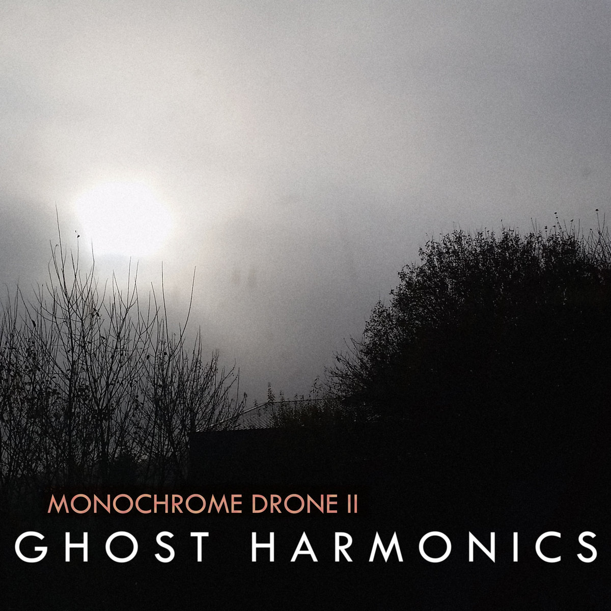 Monochrome Drone II | Ghost Harmonics