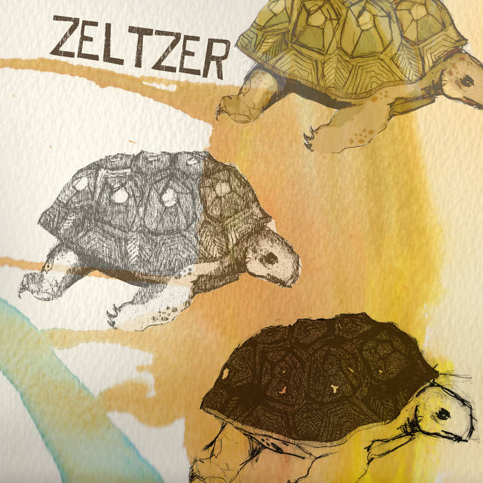 Desert Tortoise Drawing