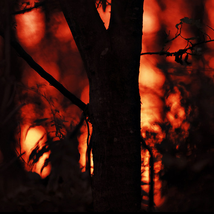 Emotion engine | David Newland