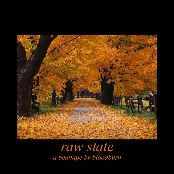 raw state | bloodburn