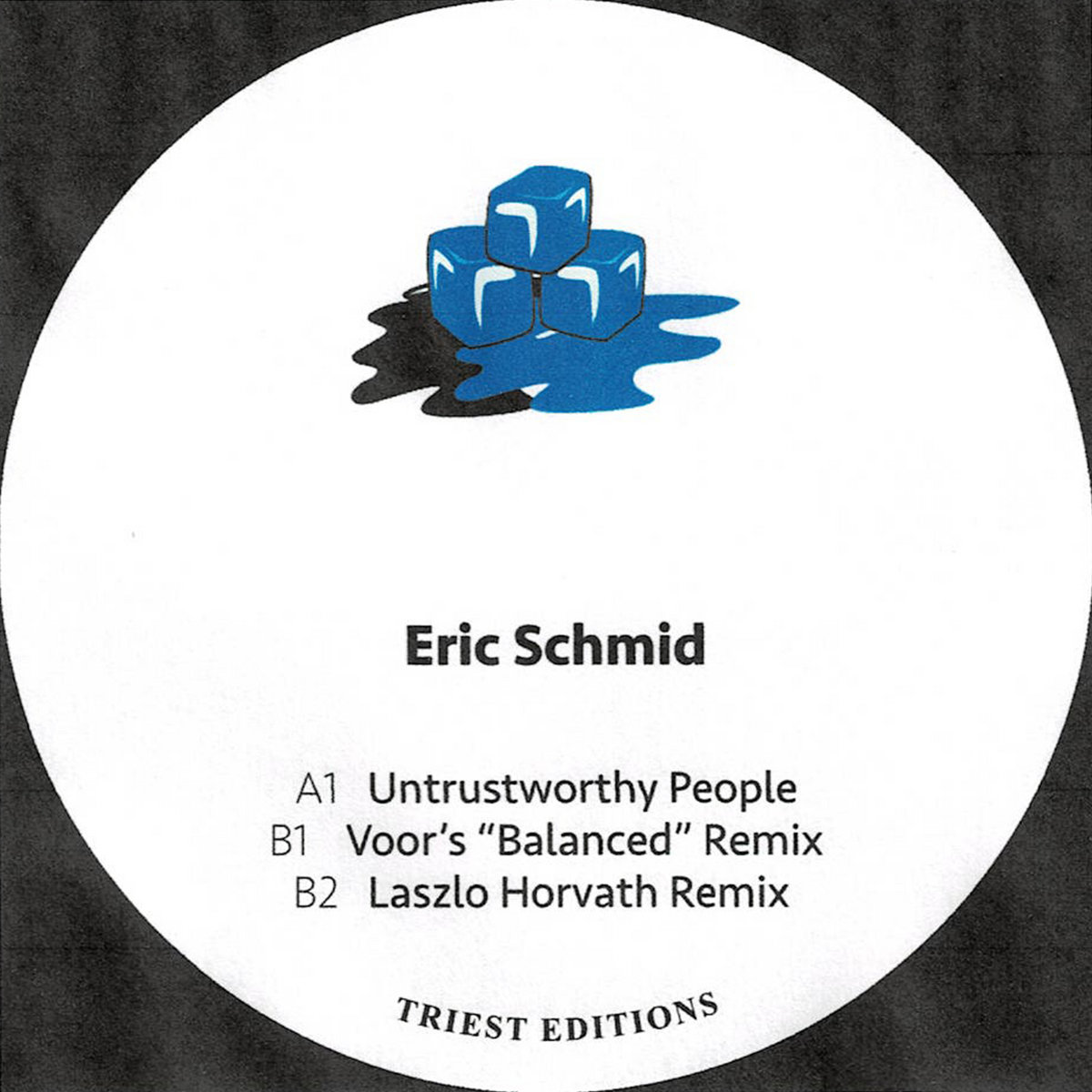 Untrustworthy People | Eric Schmid | Triest Editions