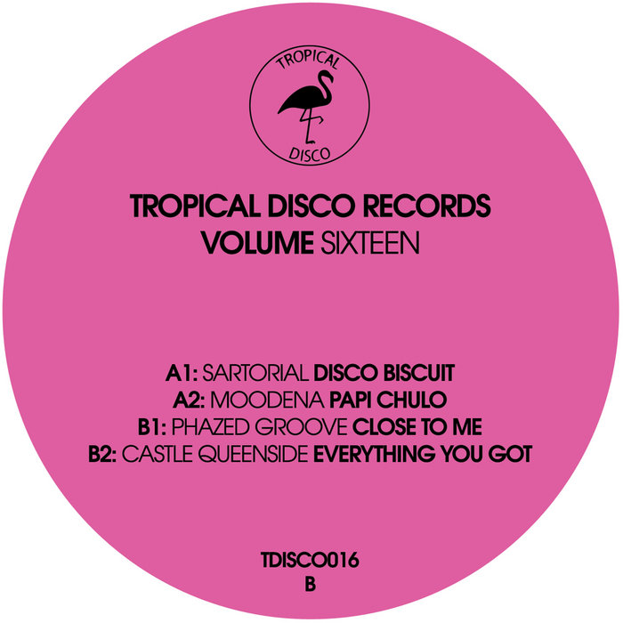 Tropical Disco Edits Vol.16 Vinyl | Tropical Disco Records