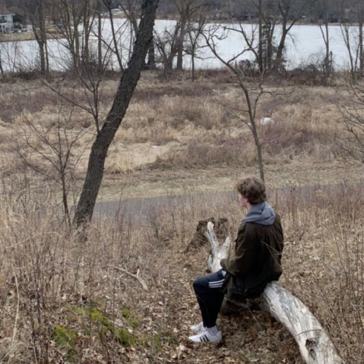 i hate the view | Danne Harvey