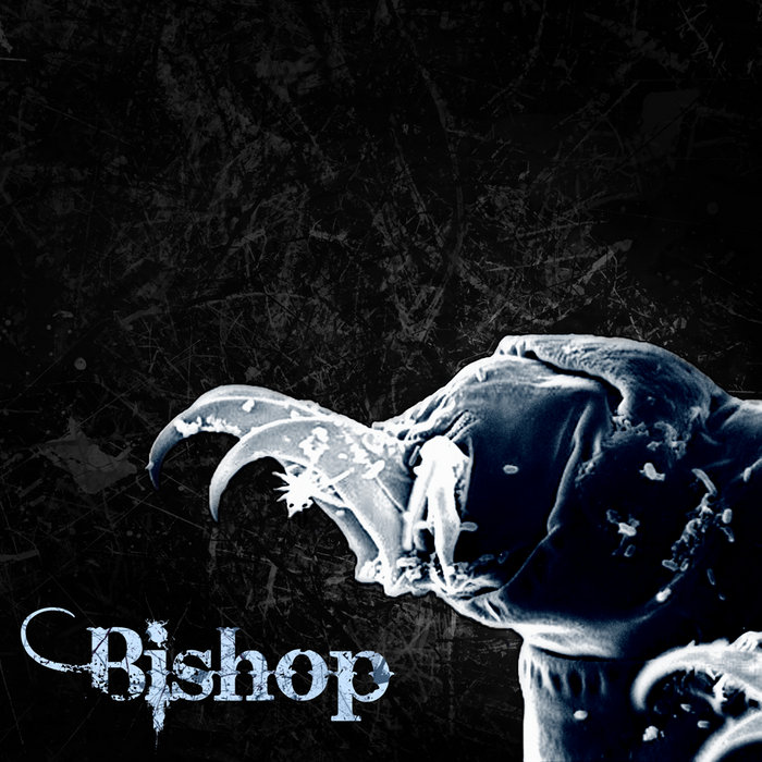 Inside The Whale We Saw Ourselves | Bishop