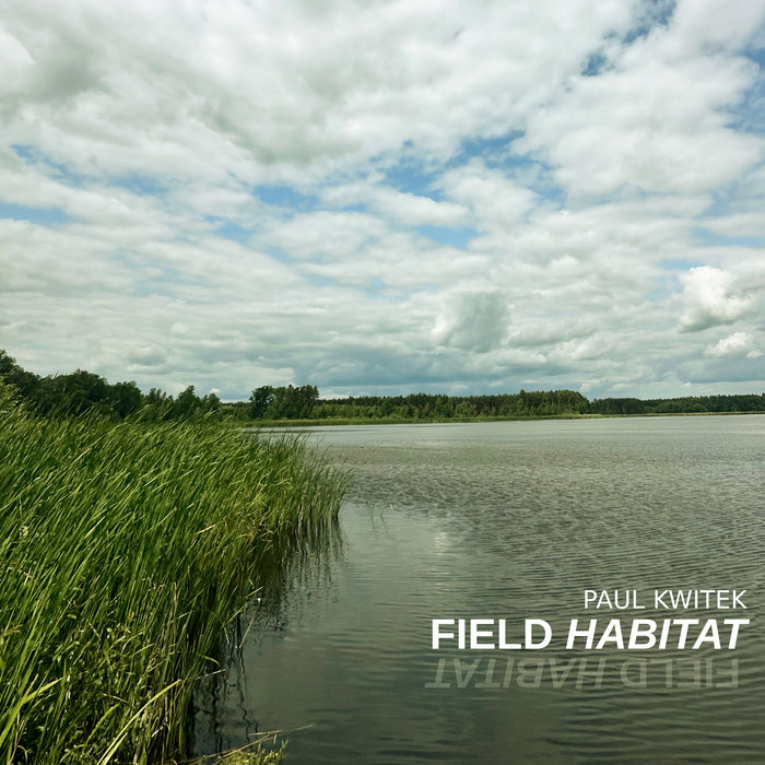Field Habitat | Paul Kwitek