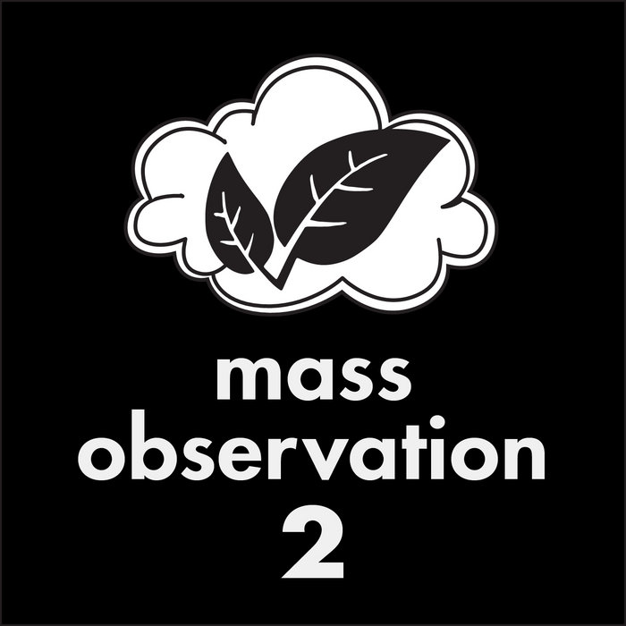 mass observation 2 | Mass Observation