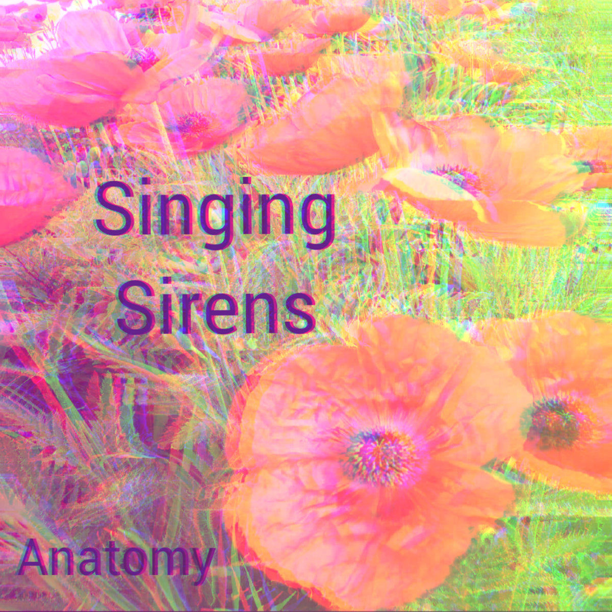 Anatomy | Singing Sirens