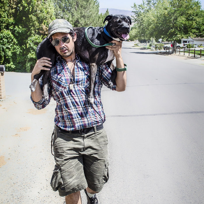 Live 2015 | Wolf Mode