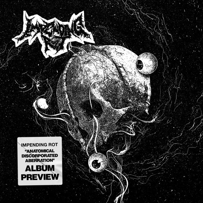 Anatomical Discorporated Aberration [ALBUM PREVIEW] | IMPENDING ROT