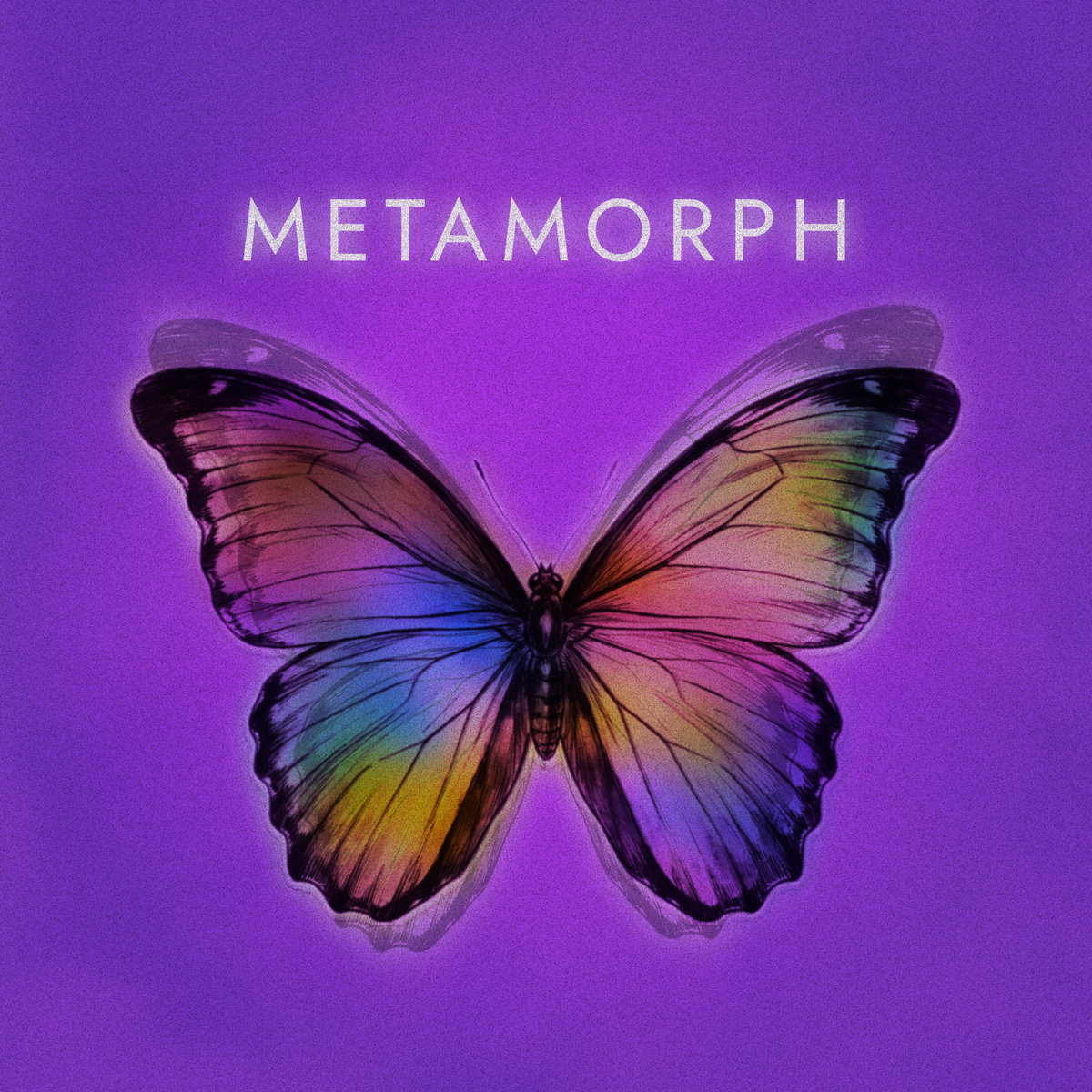 METAMORPH | Polly Lal