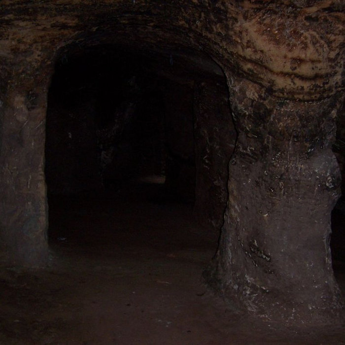 Microchaetus Rappi | Catacombed | Abysmal Growls Of Despair