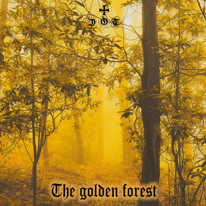 The golden forest | DOT Dominus