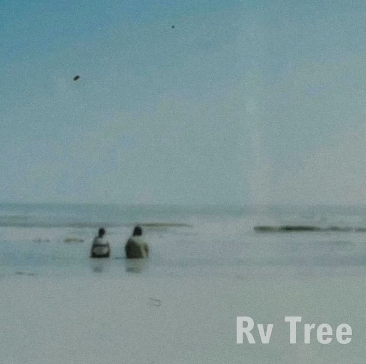 spell/beach | Rv Tree