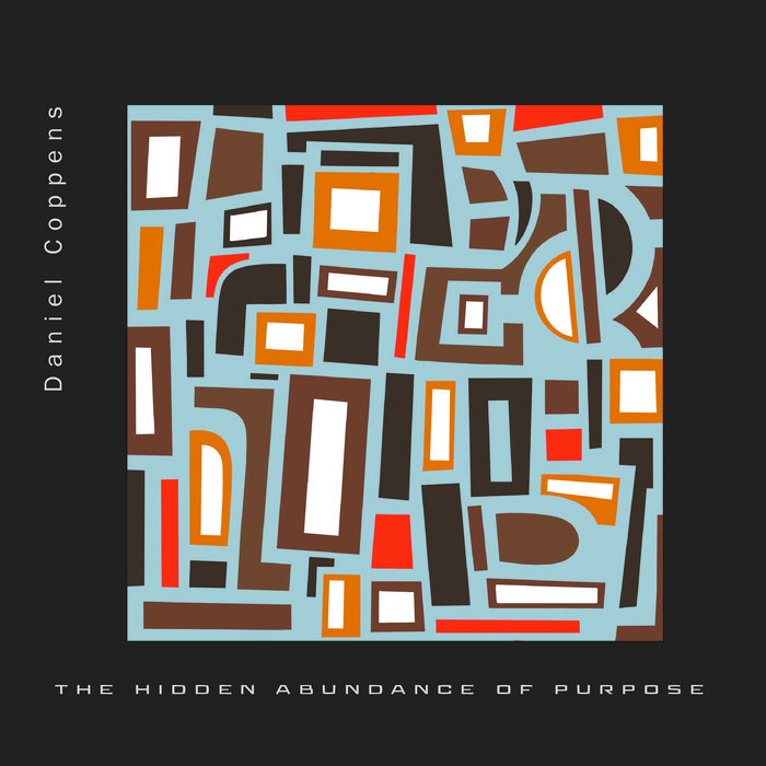 The Hidden Abundance of Purpose | Daniel Coppens