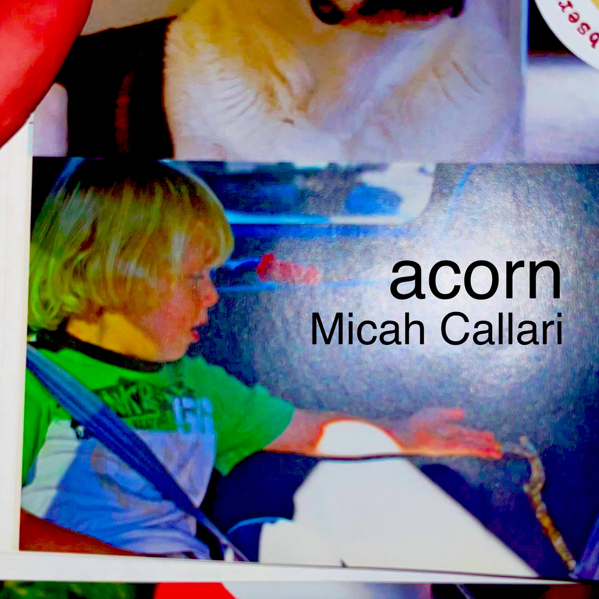 acorn | Micah Callari
