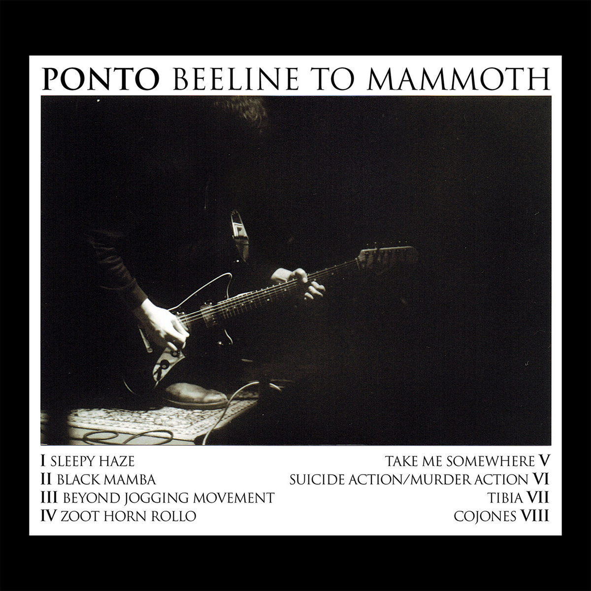 Zoot Horn Rollo | PONTO